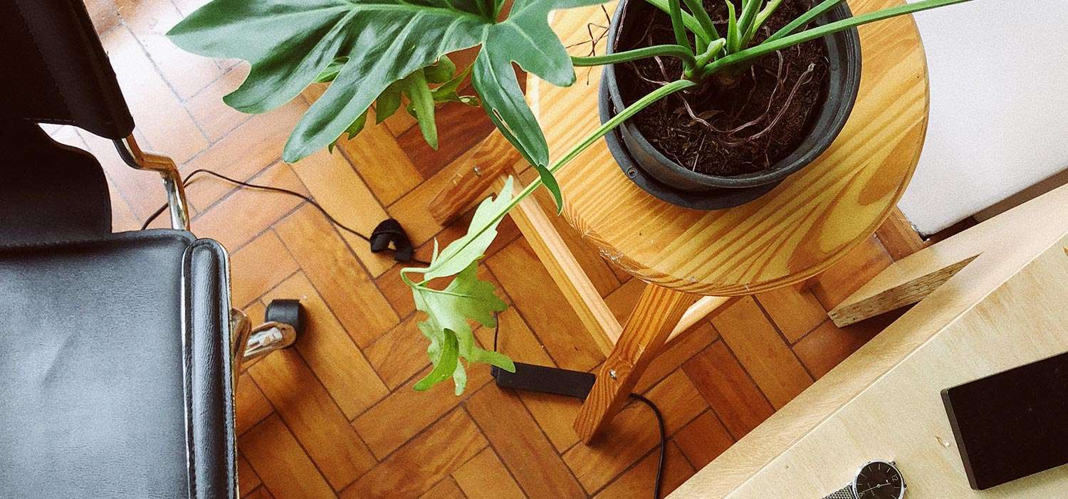 Mentions légales - NTP Parquet